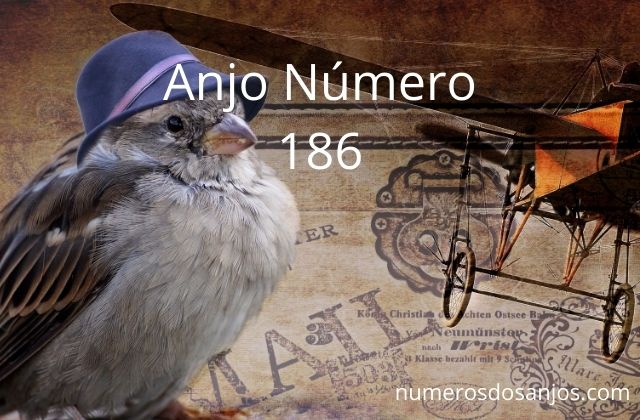 Anjo Número 186: Seja mais sensível - 186 Significado